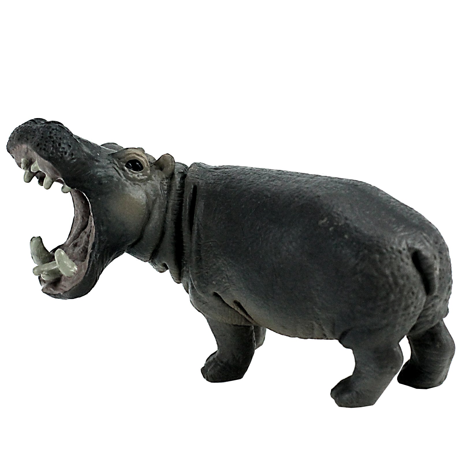 Roaring Hippopotamus Figure Height 2.7-inch – FUNSHOWCASE