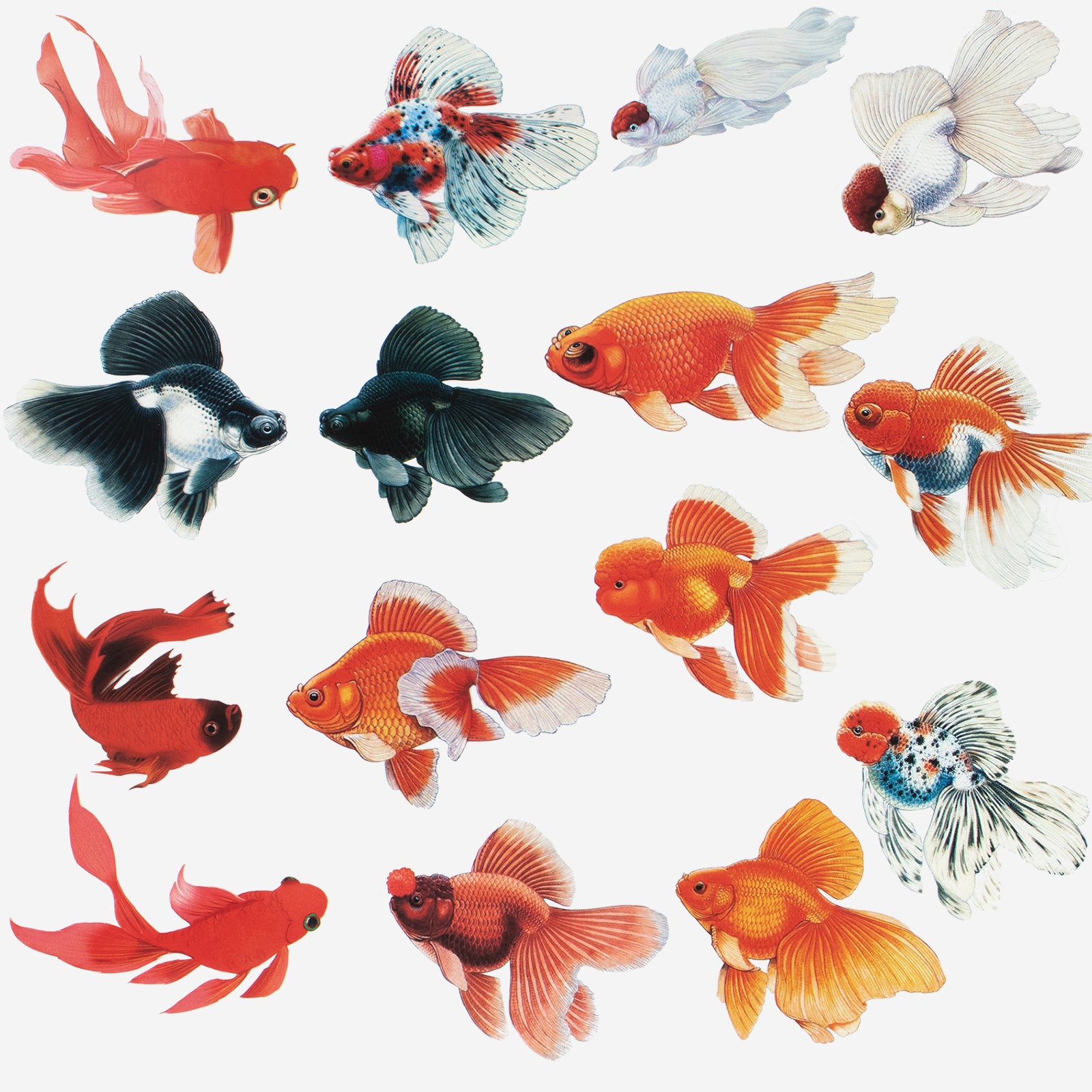 Goldfish Stickers Pack of 30-count – FUNSHOWCASE
