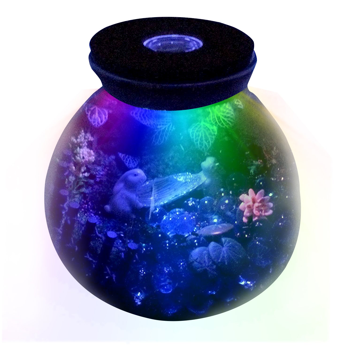 Round Glass Terrarium with LED Lid 5.9inch – FUNSHOWCASE